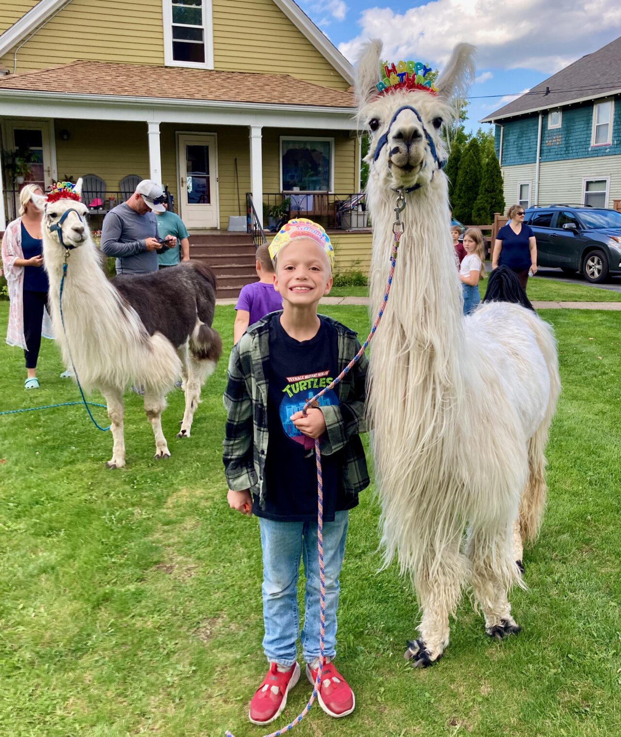 Your Event - Llama Adventures